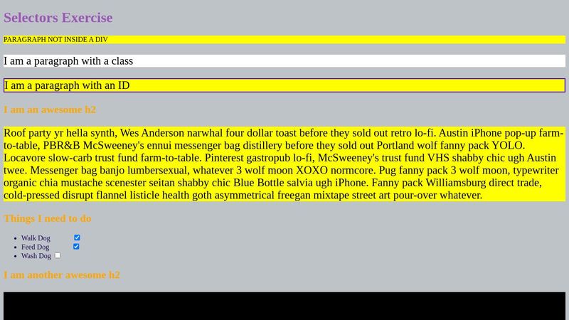 CSS Selectors Practice Exercise