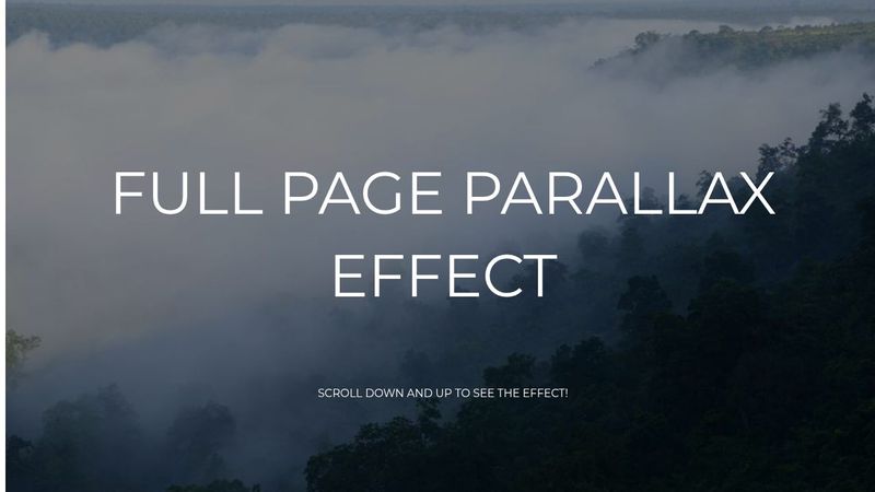 Scroll Effect Website