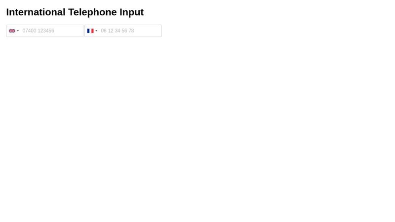 International Telephone Input