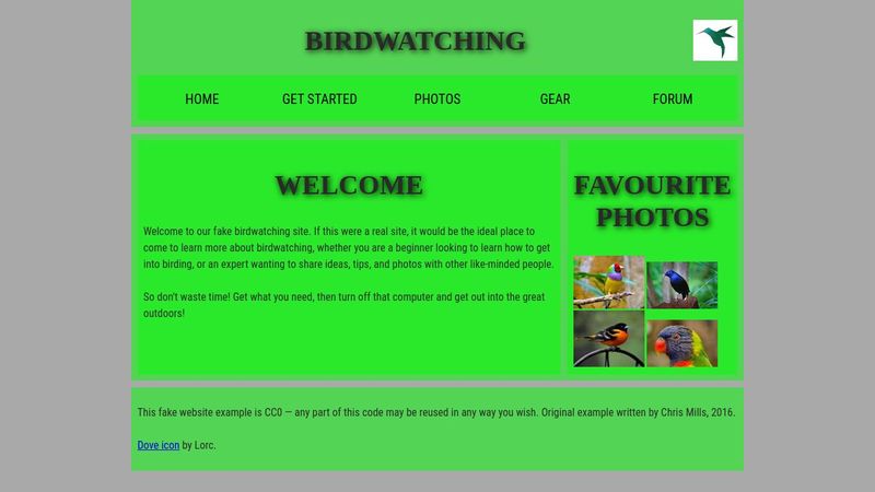 Birdwatching HTML layout