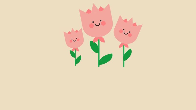 Tulips | Pure CSS
