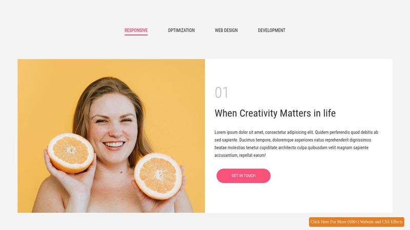 Responsive Filterable Gallery using HTML & CSS 3 ( online web ustaad )