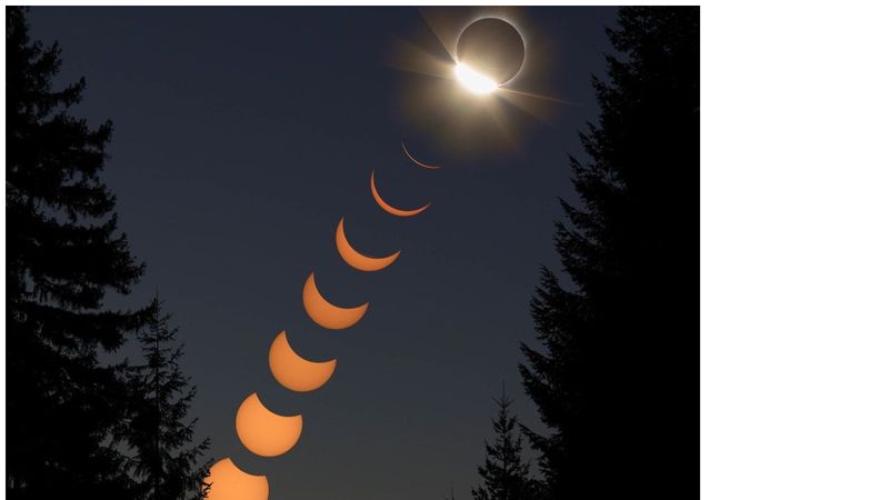 LQIP+Lazy Loading+Responsive with Cloudinary