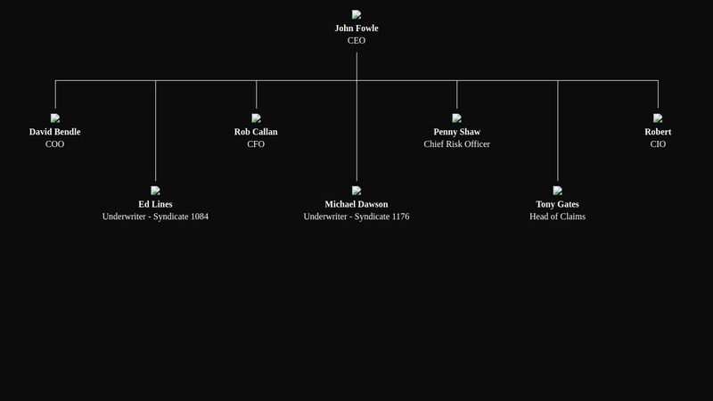 Css Only Responsive Flow Chart