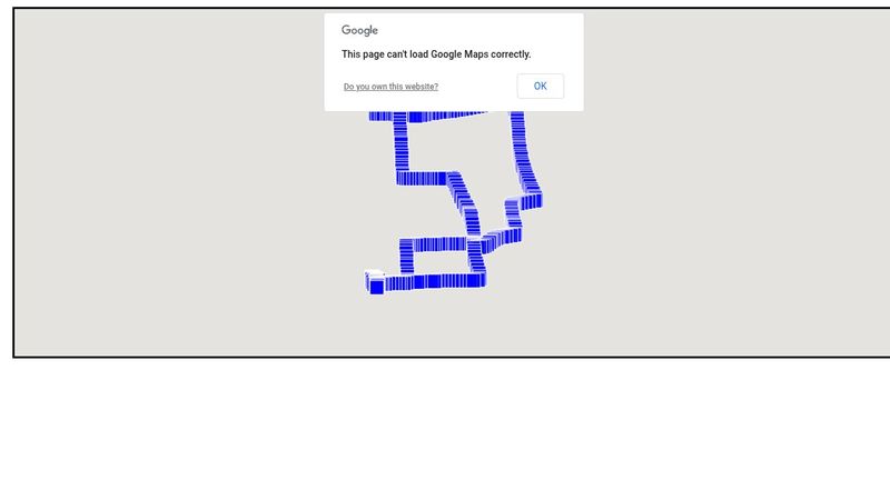 Dynamic Google Map with Polylines and SVG Markers