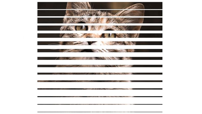 1 div pure CSS blinds staggered animation in 13 declarations
