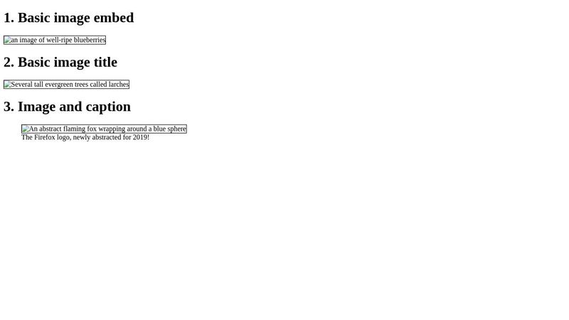 Assessment wanted for HTML image basics skill test