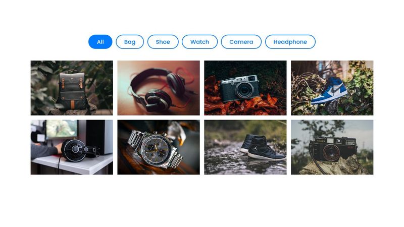 Responsive Filterable Image Gallery using HTML CSS & JavaScript
