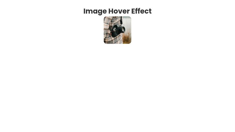 #14 Image Zoom Hover Effect in CSS