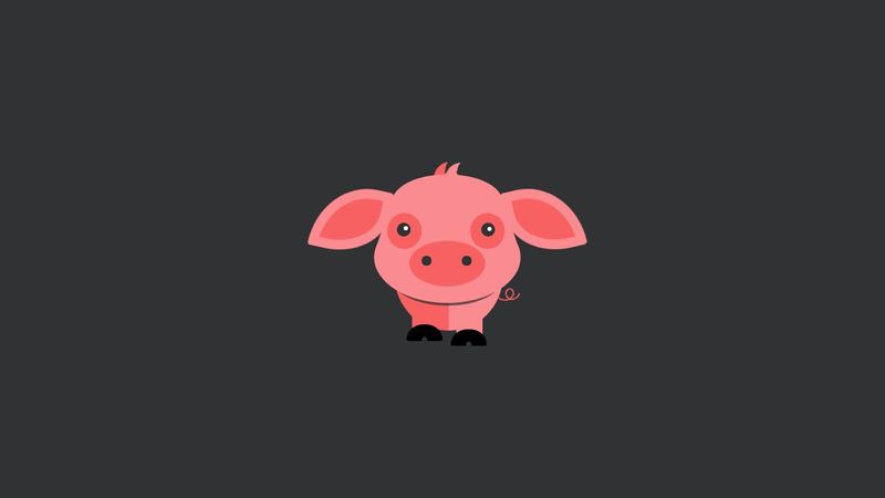 CSS Animated Pig