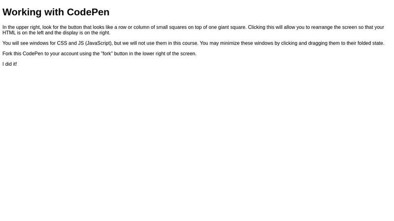 00 02 Working With Codepen 0424