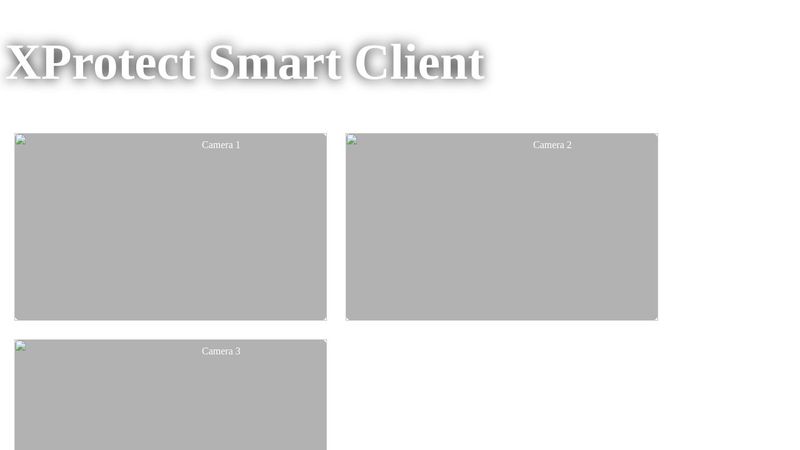 Milestone XProtect Smart client Example layout