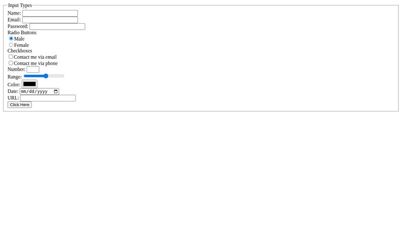 JS - Form Input Types