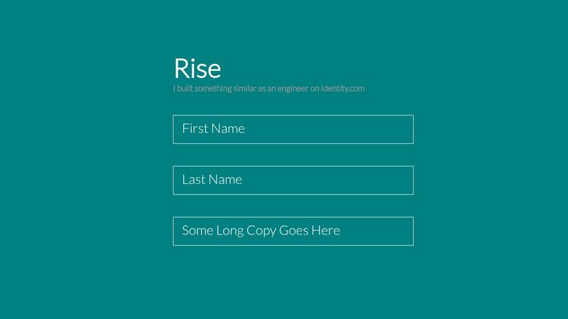 Rise - Input Text Field Label Animation