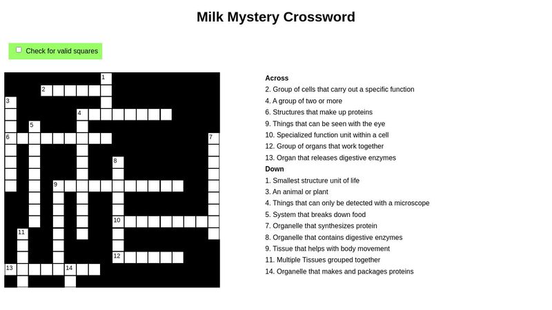Pure CSS crossword - CSS Grid