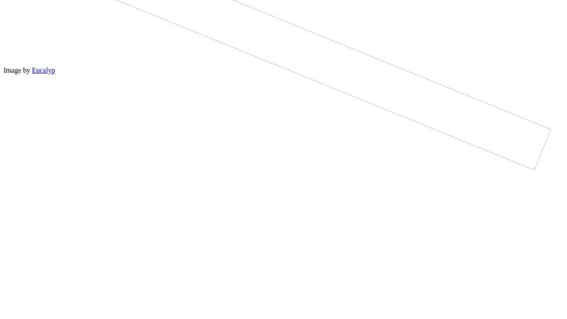 CSS infinite rotation animation