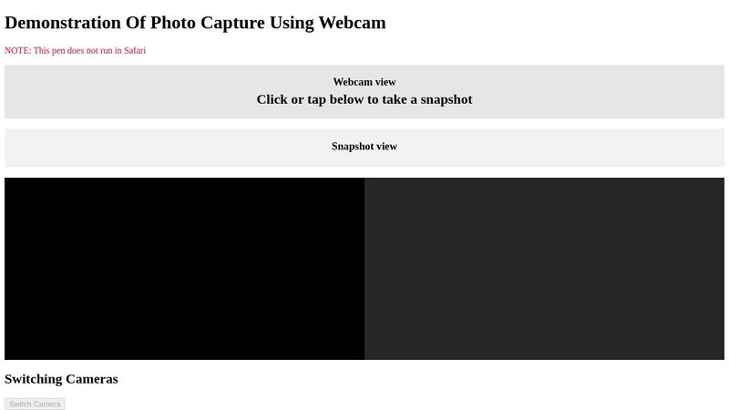 simple capture webcam