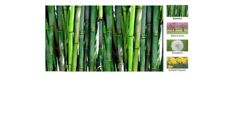 jQuery Gallery with Vertical Thumbnails