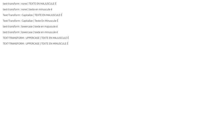 text-transform CSS exemple de code | ZONE CSS