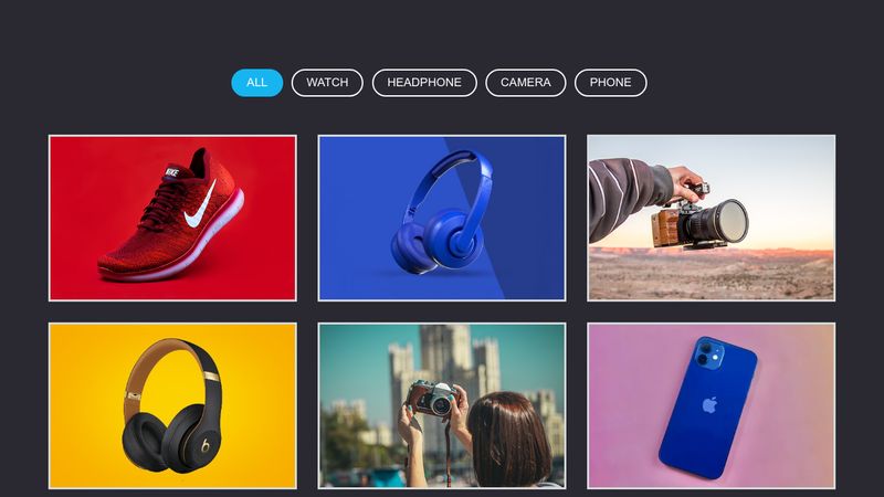 Responsive Filterable Image Gallery Using Html Css And Javascript