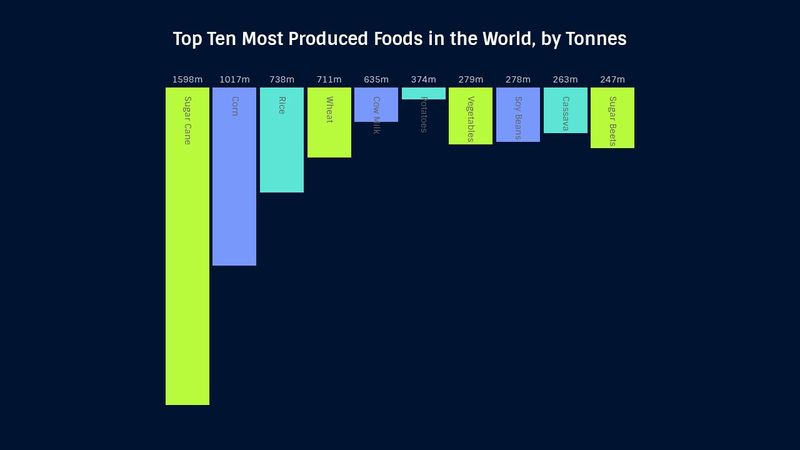 CSS-Only Animated Sass Bar Graph