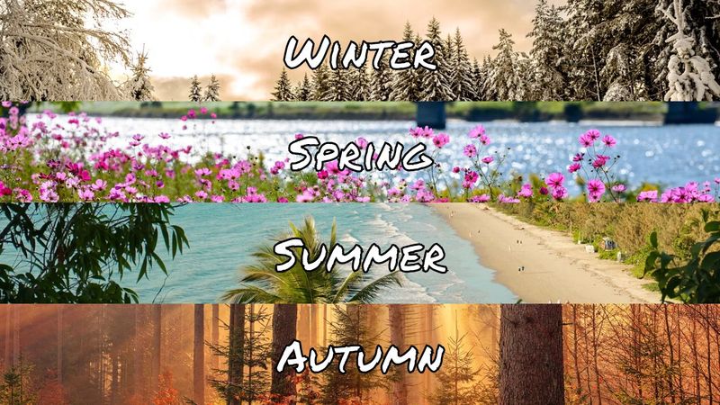 Overlapping sections only CSS