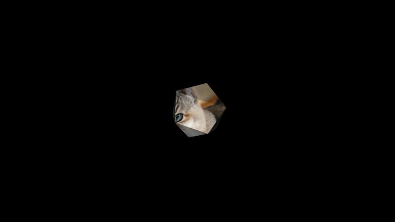Three.js - Icosahedron Cat