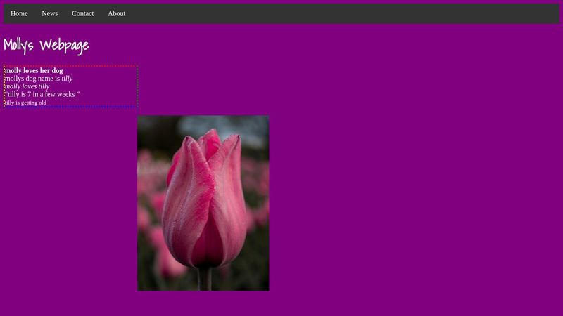 CodePen - A Pen by Molly Bradley-Steele
