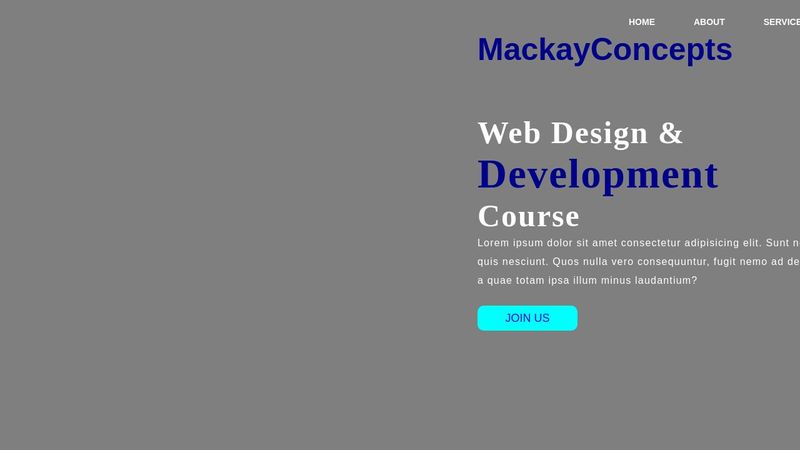 Website Design Using HTML & CSS