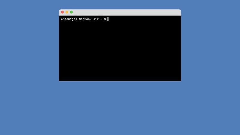 Pure CSS terminal