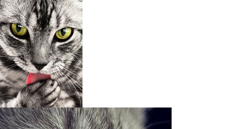 HTML5 lazy load images with IntersectionObserver