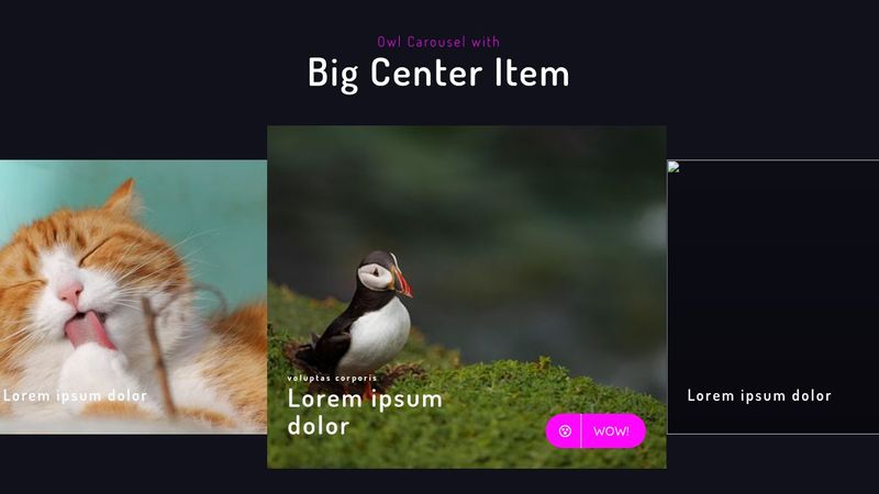 Owl Carousel with big center item