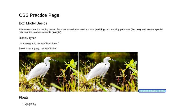 CSS Practice Starter-05-Links, Pseudos, & Transitions