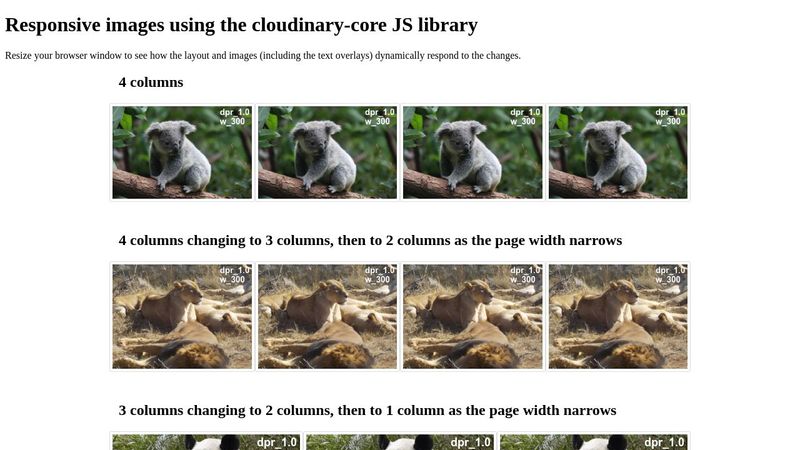 Responsive Images Using Cloudinary Core-JS Library