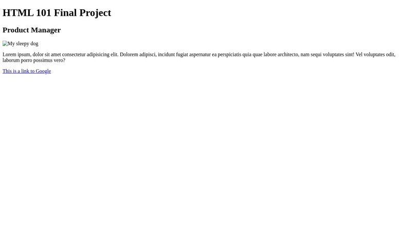 HTML 101 Final Project