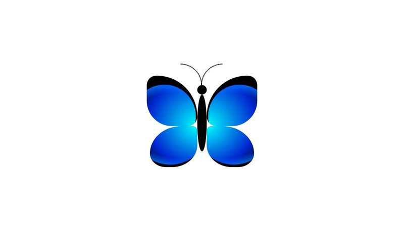 CSS butterfly