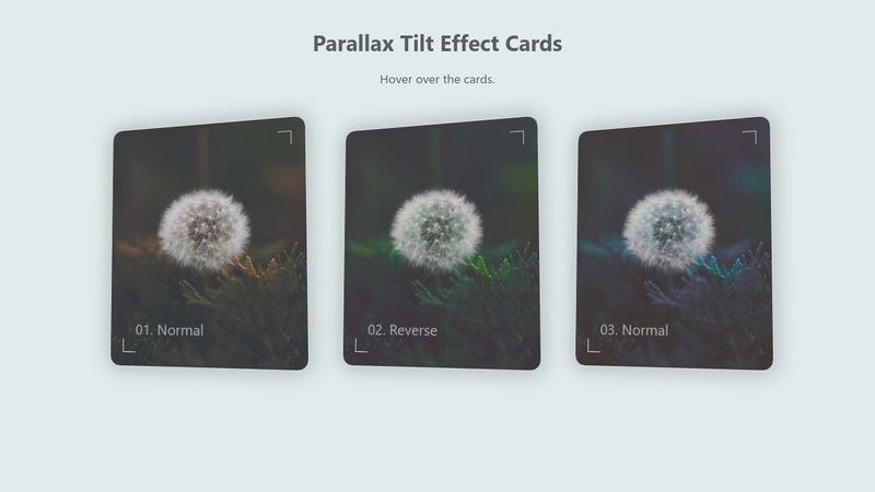 Parallax Tilt Effect Cards