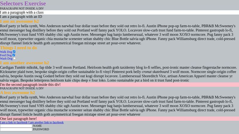 Challenge: CSS Selector และ Properties