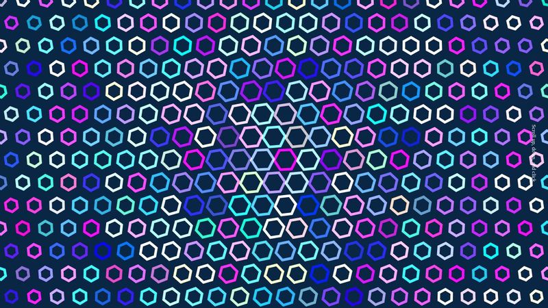 #81 in 2020 / JavaScript Canvas