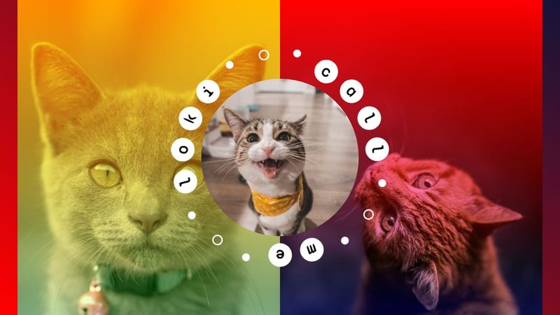 Rotating text with CSS & Vanilla JS