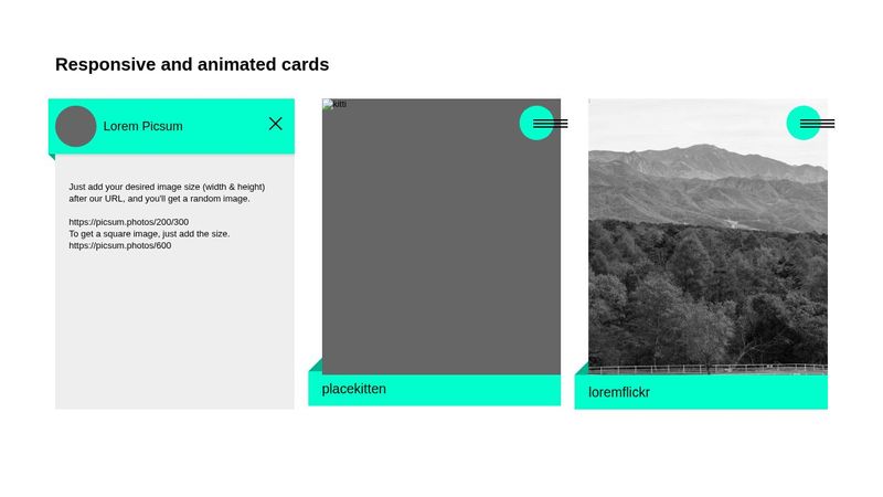 Responsive Animated Cards