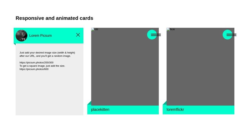 Responsive Animated Cards
