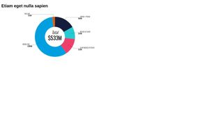 Donut chart template