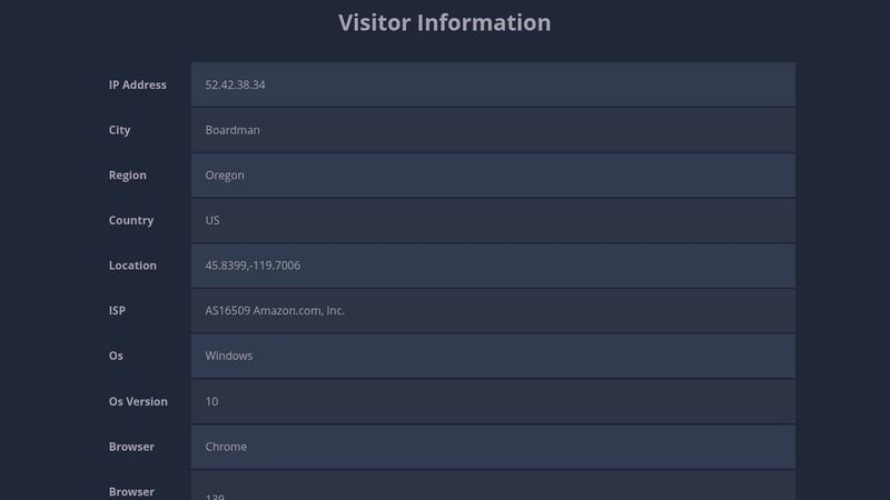 Get Visitor Information With Pure JavaScript