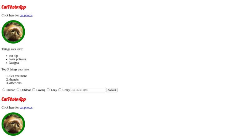 In-Class Bootstrap Assignment