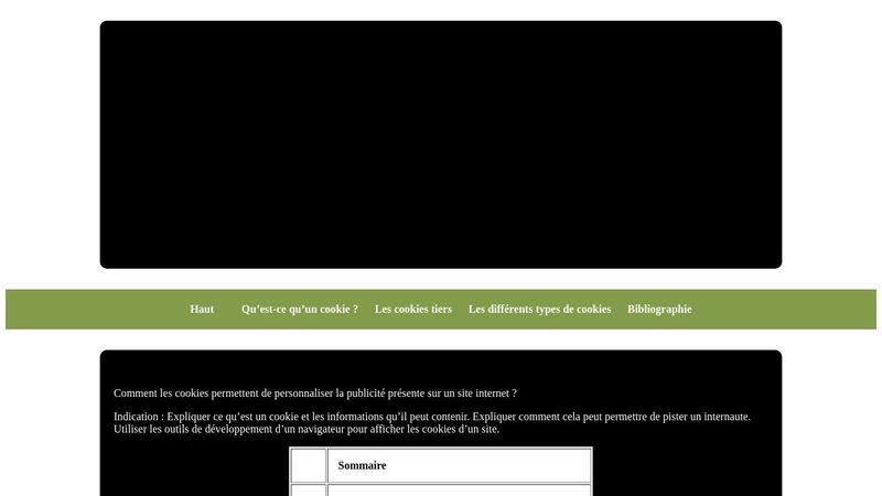 Cookies (avec javascript/DOM)