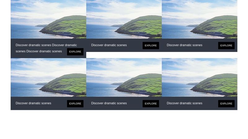 CodePen - A Pen by Nasir T