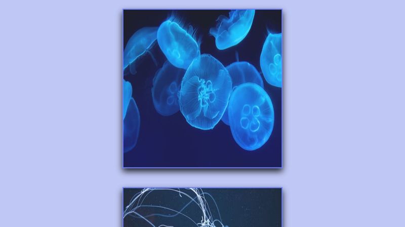 Image scroll effect with ScrollOut.js