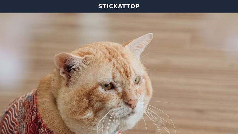 Sticky Navbar with Tailwind CSS