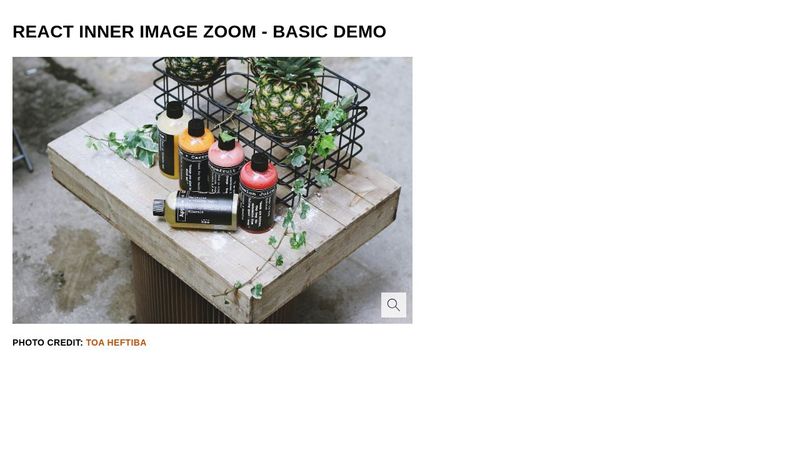 React Inner Image Zoom - Basic Demo